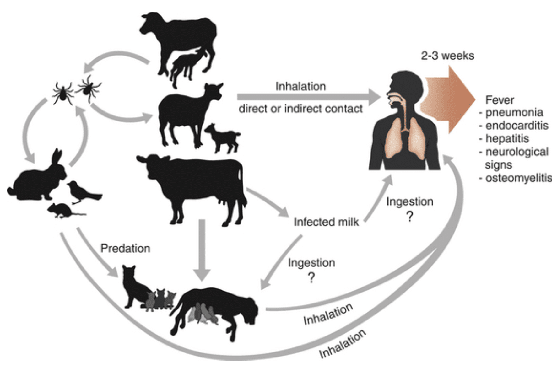 Saskatchewan Ministry of Agriculture Q Fever Surveillance Program - PDS Inc
